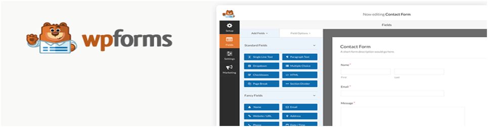 5 Impressive Wordpress Form Plugins That Can Help In Generating Leads